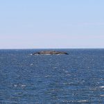 Wait, Is That a Whale? | North Shore Visitor
