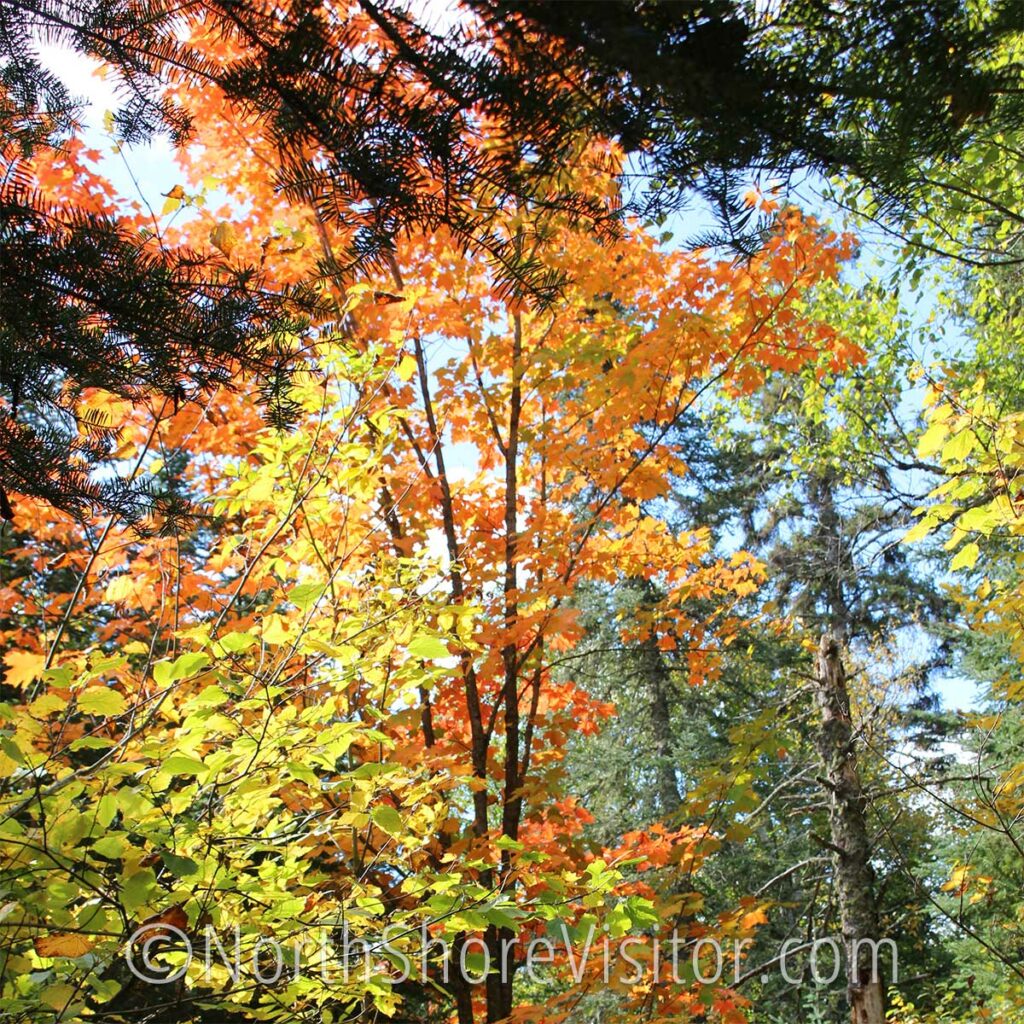 Cove Point Lodge on Lake Superior | North Shore Visitor
