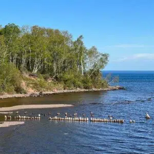 Pilings at the mouth of the Split Rock River | North Shore Visitor