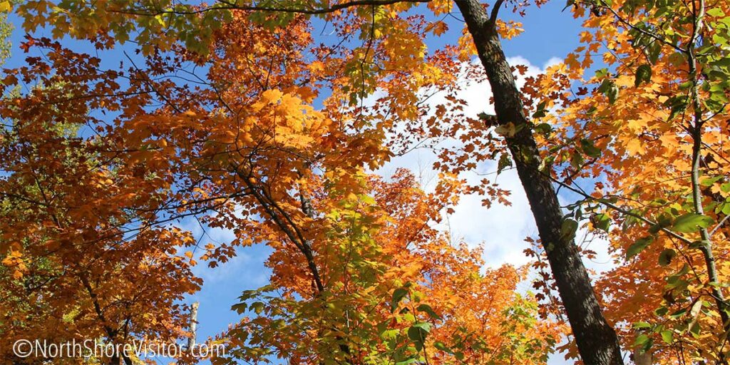 See Fall Colors North Shore MN % | North Shore Visitor