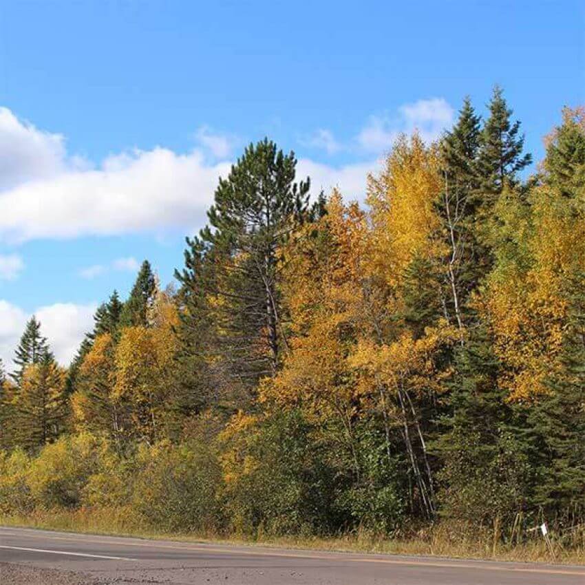 North Shore Fall Colors | North Shore Visitor