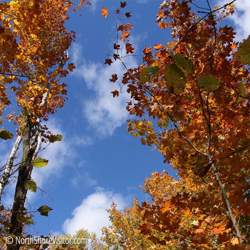 North Shore Fall Colors | North Shore Visitor