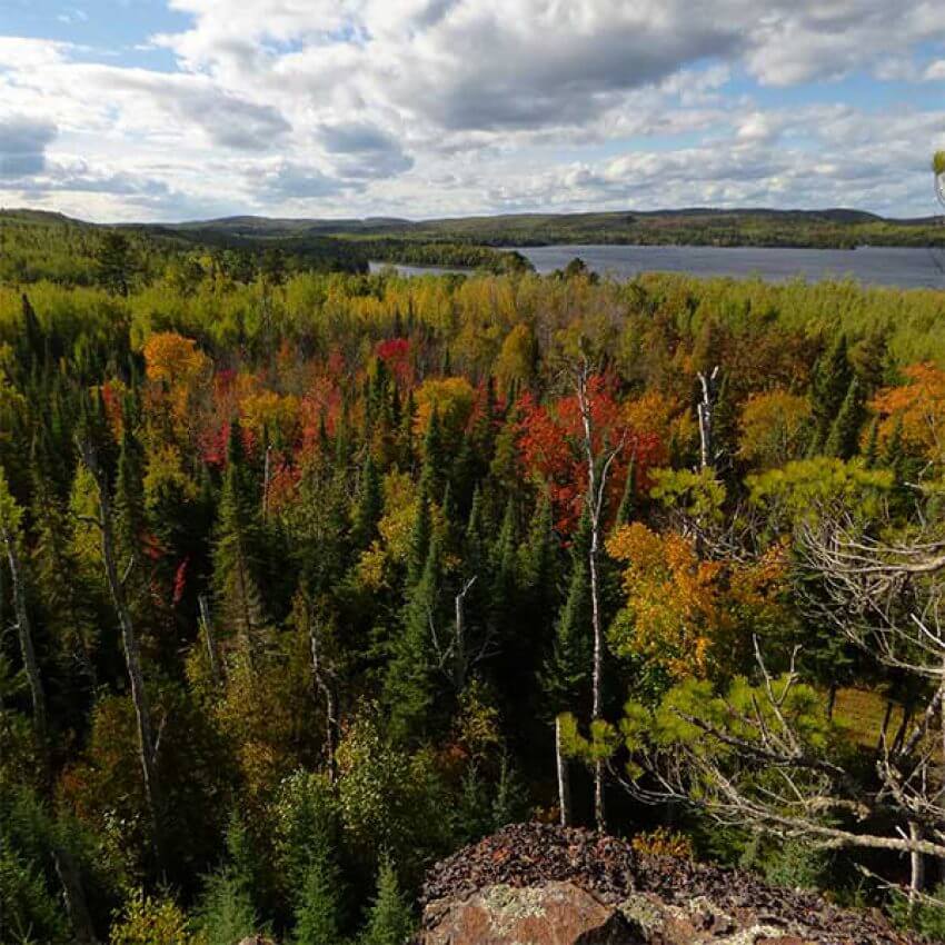 Gunflint Trail MN | North Shore Visitor
