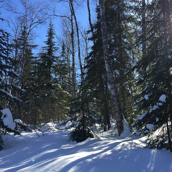 North Shore Winter Activities | North Shore Visitor