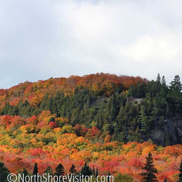 Itinerary | North Shore Visitor